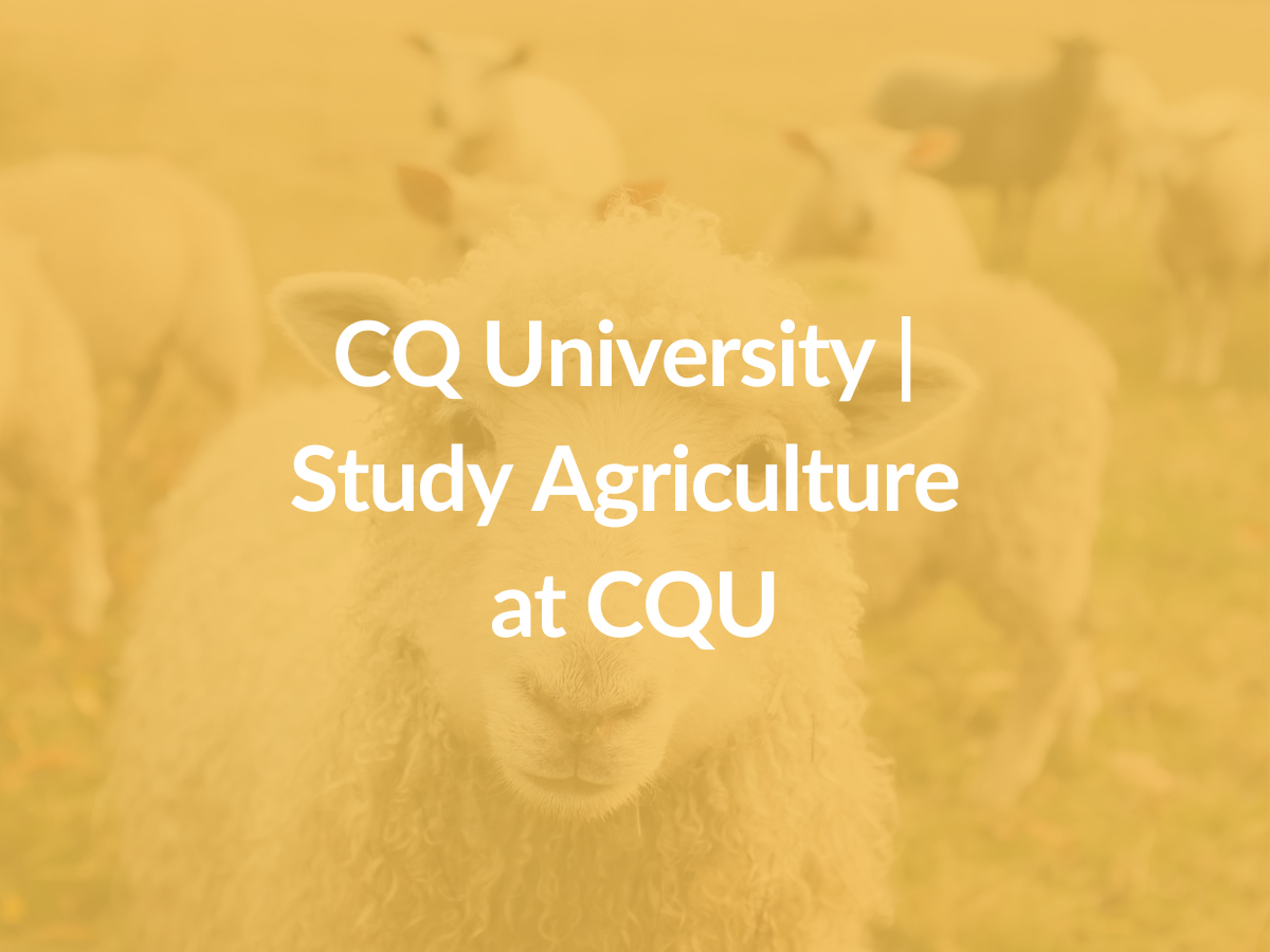 CQUni | Study Aviation at CQUni